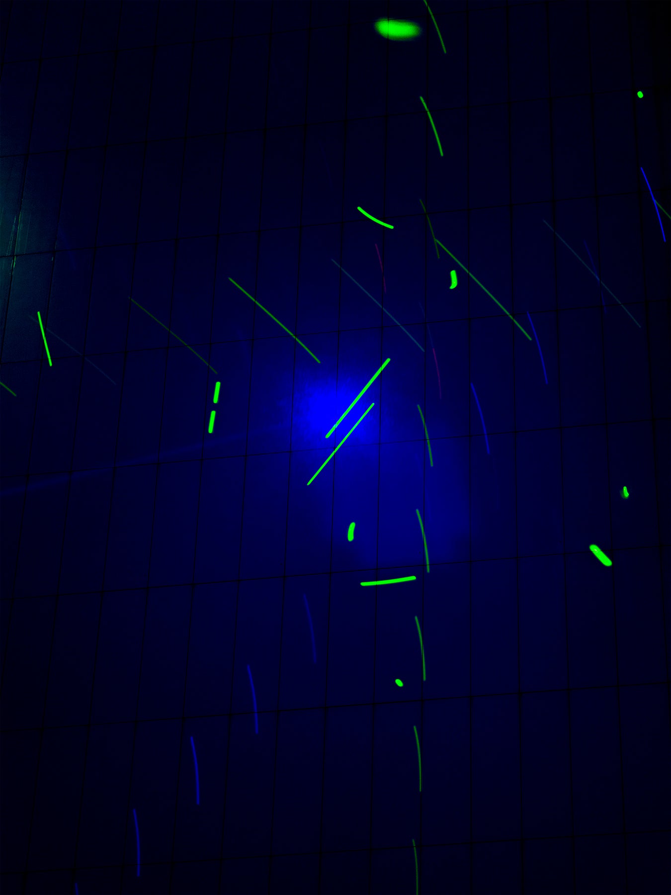 Matthew Connors for States of Change